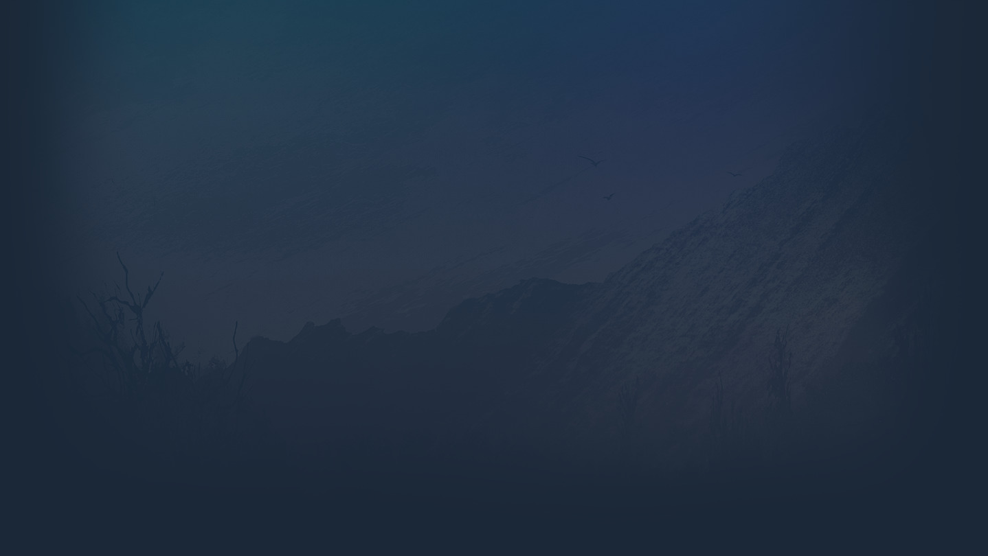Red Dead Redemption 2 updates | Changelog.gg